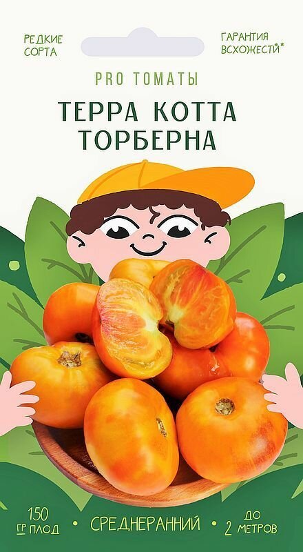 Томат Терра Котта Торберна