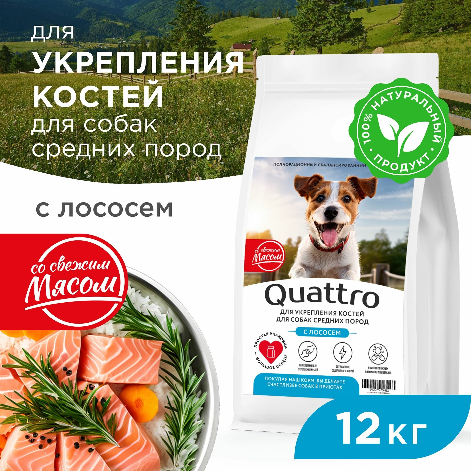 Корм сухой для взрослых собак средних пород, премиум полнорационный комплекс, укрепление костей, с лососем, 12 кг, QUATTRO
