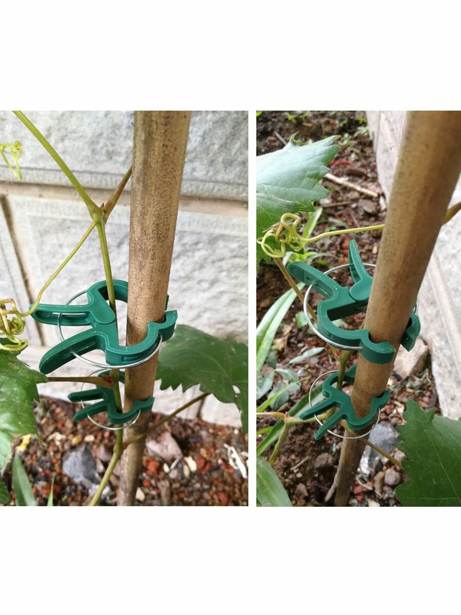 Клипсы садовые KeriShop, для растений, 2 размера, 10 шт, зеленые