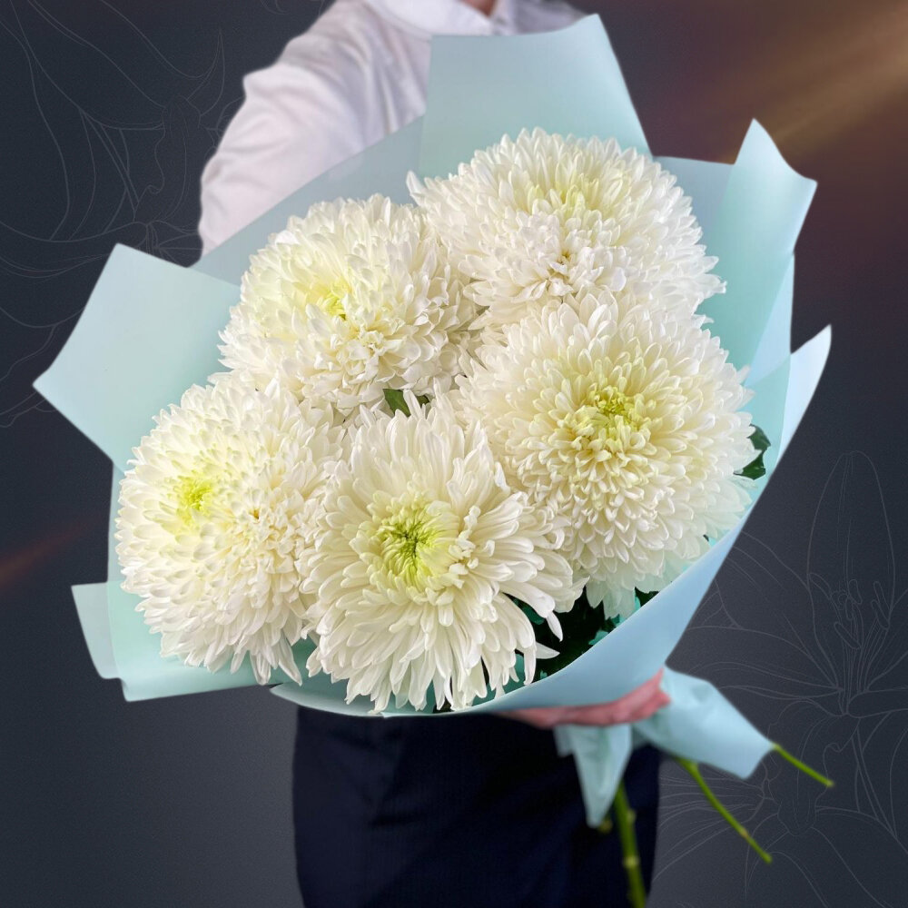 Классический букет из 5 белых хризантем Magnum White в матовой пленке с атласной лентой от 2name Flowers