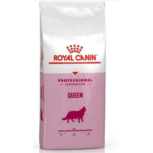 Royal Canin Для беременных и лактирующих кошек (Queen), 4кг