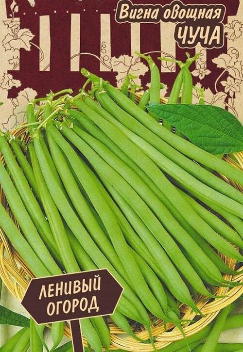 Семена Вигна Чуча 10 шт.