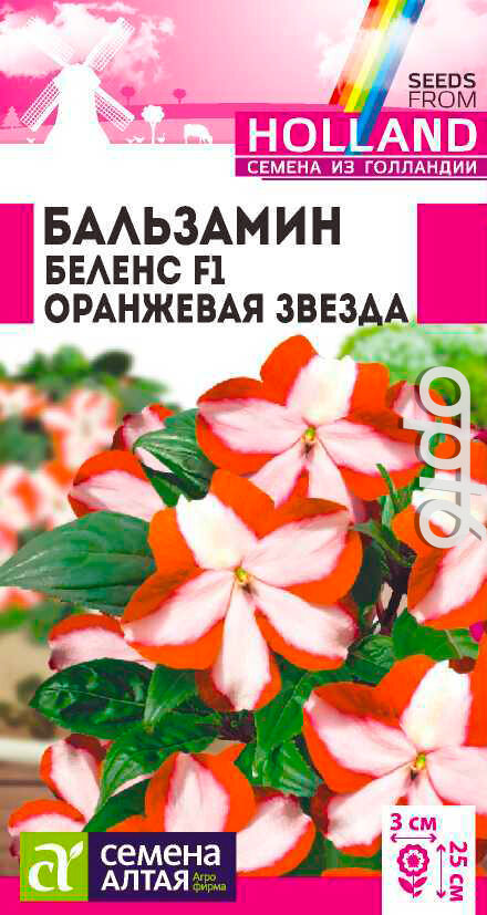 Бальзамин Беленс Оранжевая звезда 5шт /10 /голландия