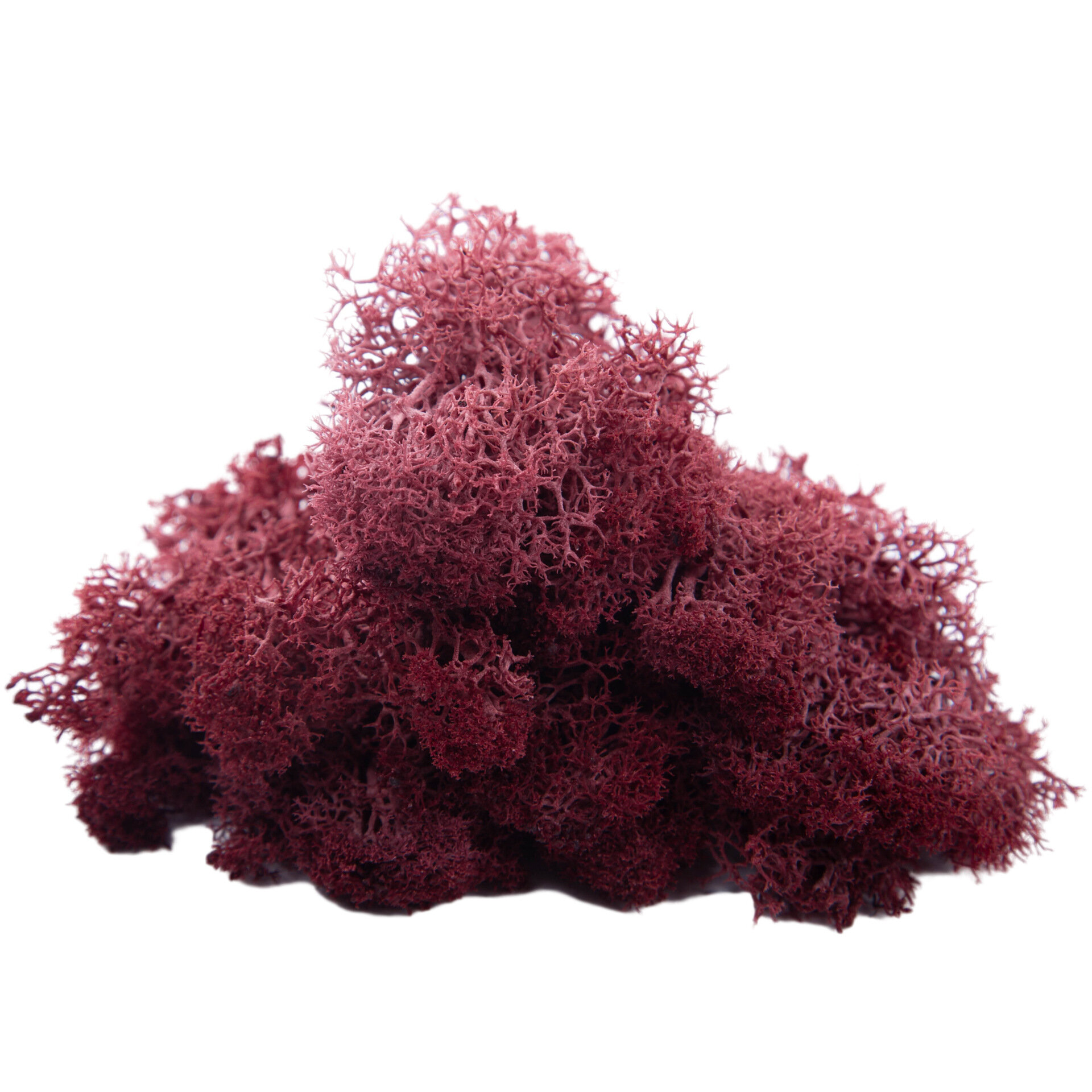 Вечный мох PHILIA, имитация оленьего мха, винно-красный, 500г