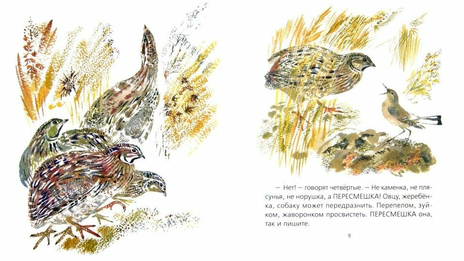 Книга Акварель Каменка-плясунья. 2013 год, Сладков Н.