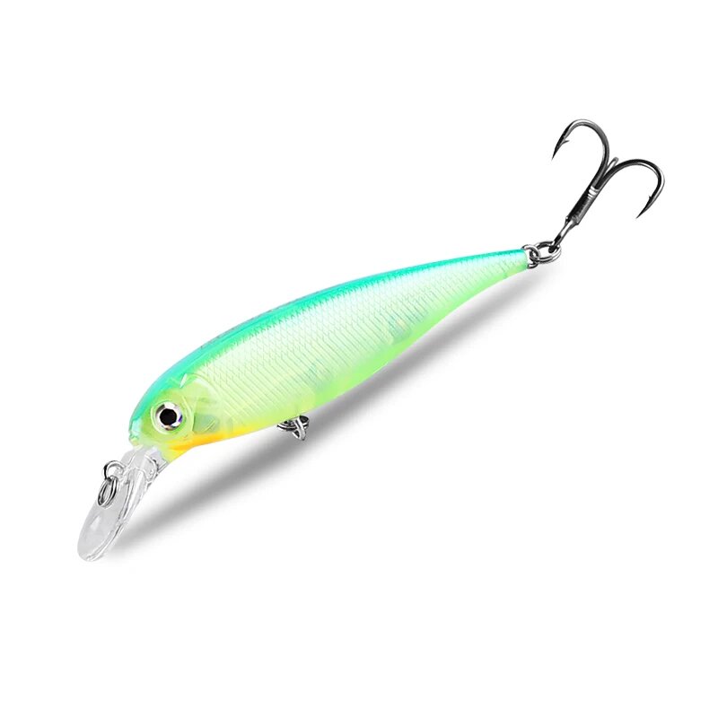 ASINIA BEARKING-Professional Hard Bait Little Carp J