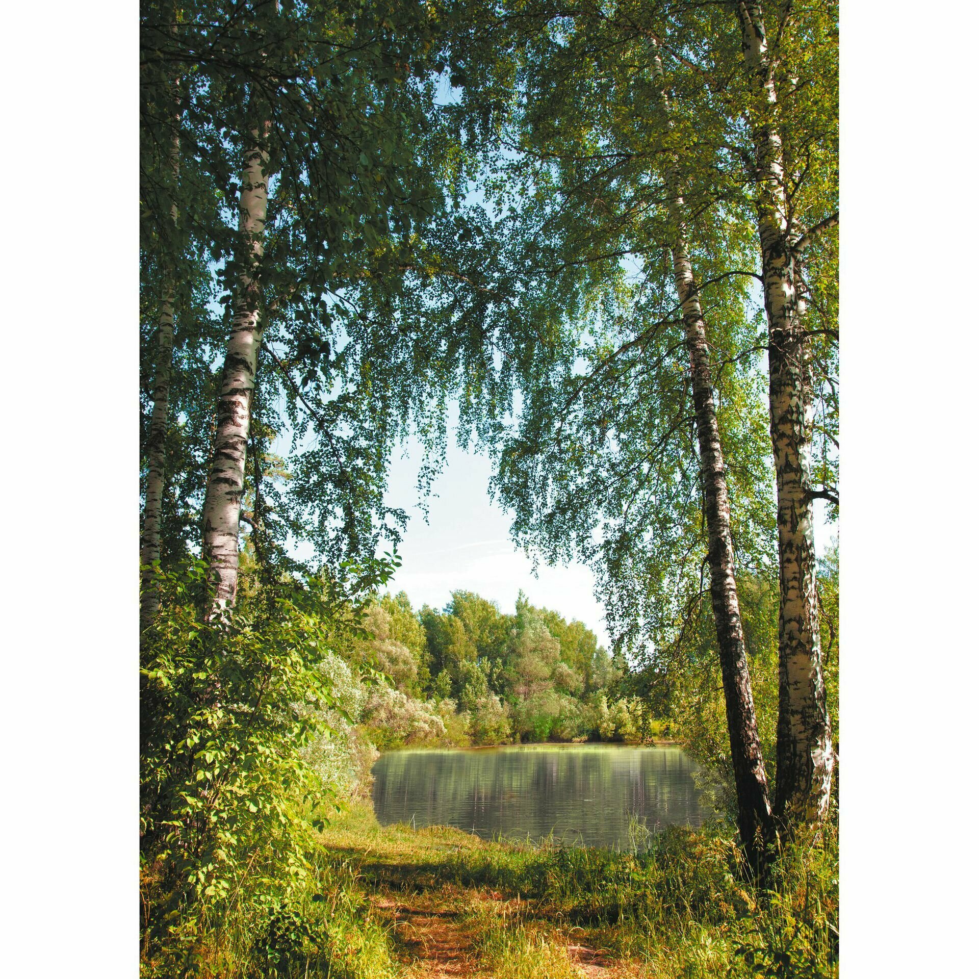 Фотообои Decocode "Полдень" 21-0260-PG флизелиновая основа, виниловое покрытие, размер 200*280см