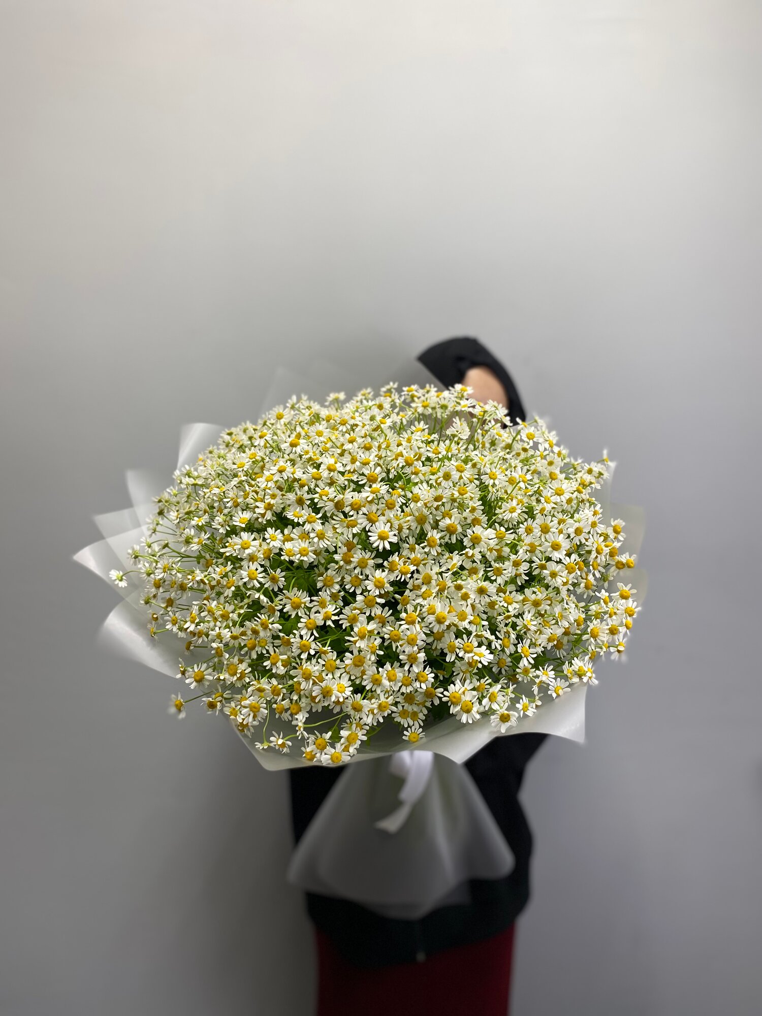 Букет живых цветов NURA FLOWERS "Ромашки", авторский, из ромашек кустовых, белый, 51 шт.