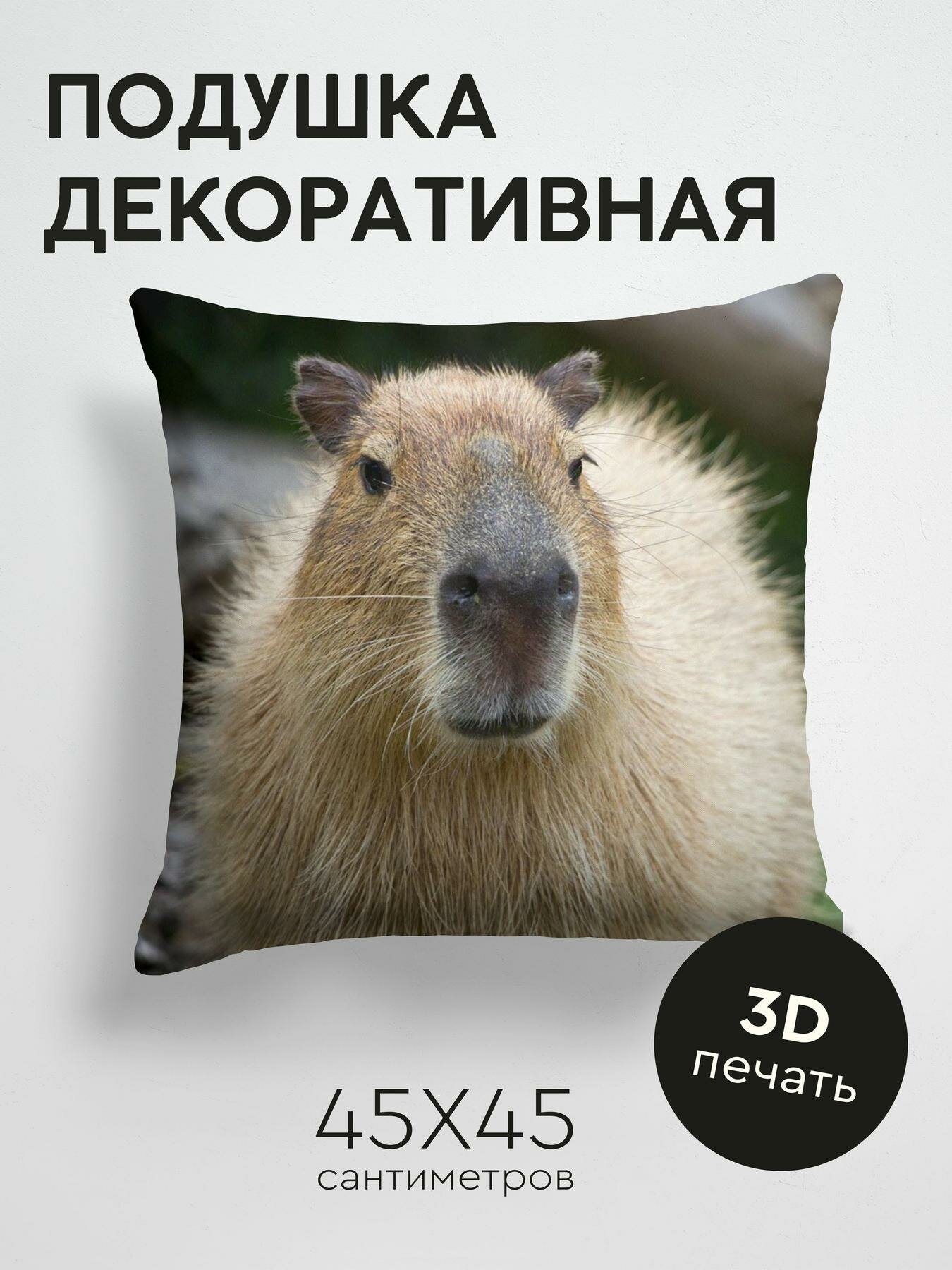 Подушка декоративная, 45x45см / Животные / капибара / морда / нос