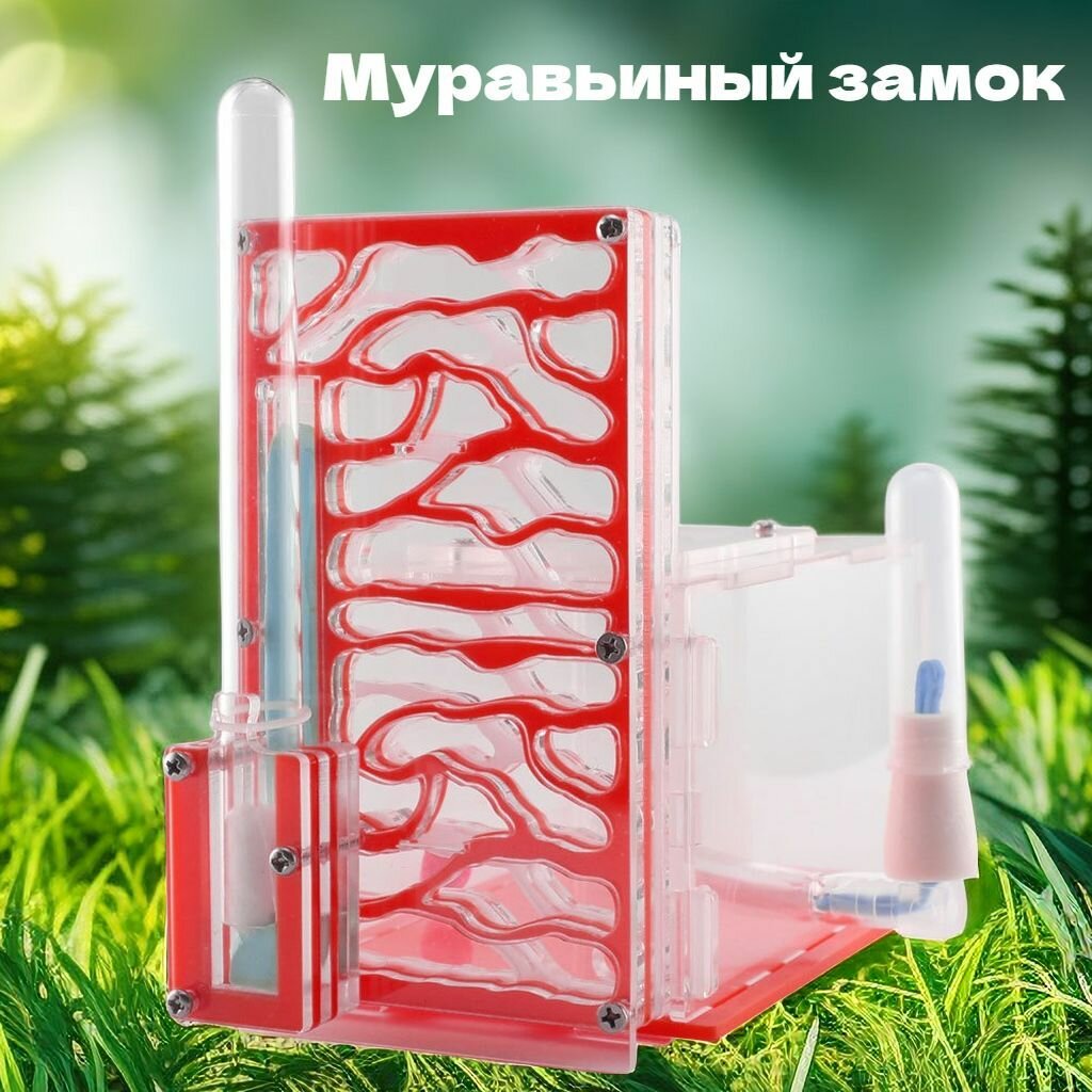 Муравьиная ферма / Экологический ящик для муравьев Yingtuo