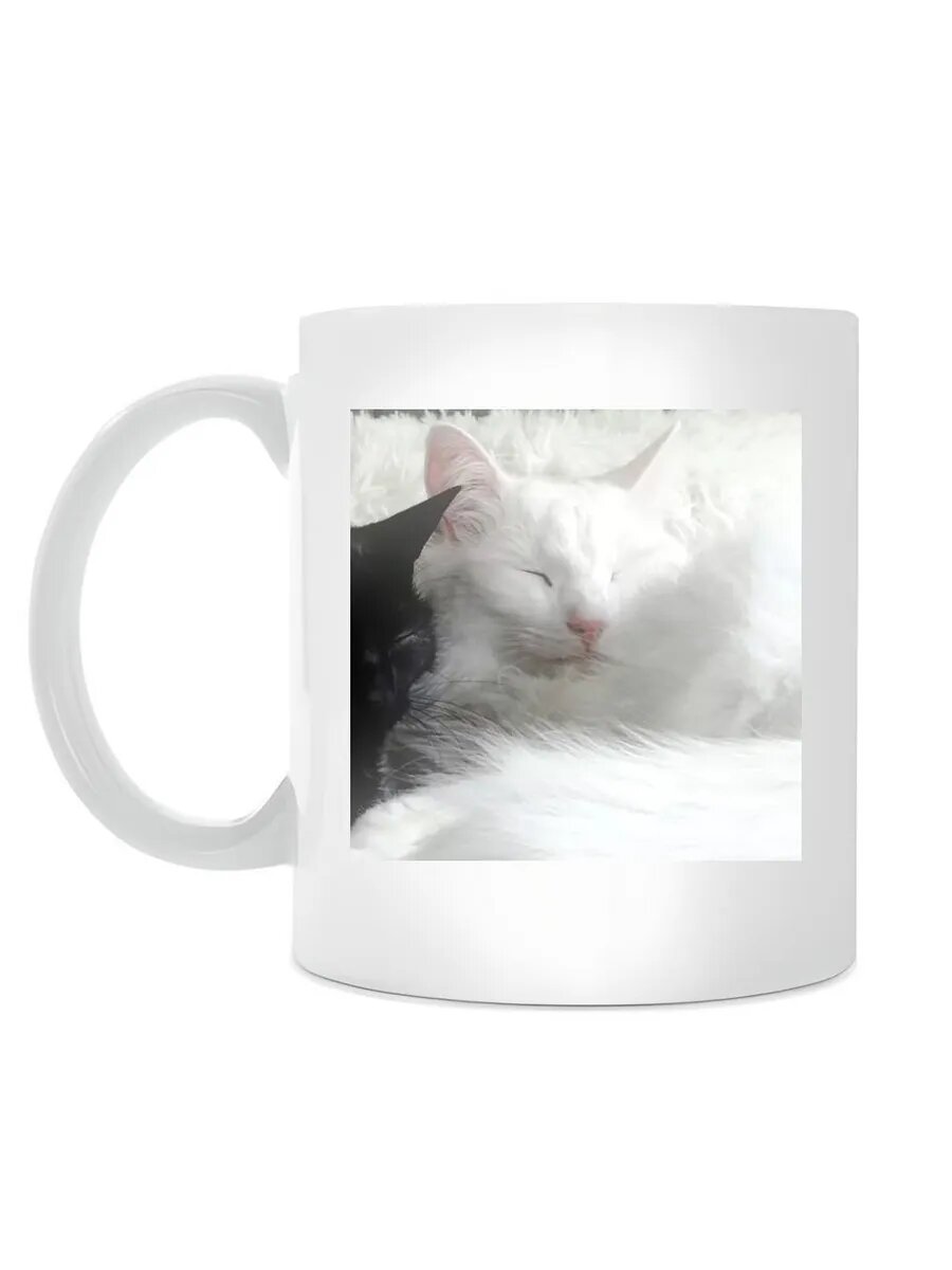 Парные кружки котики