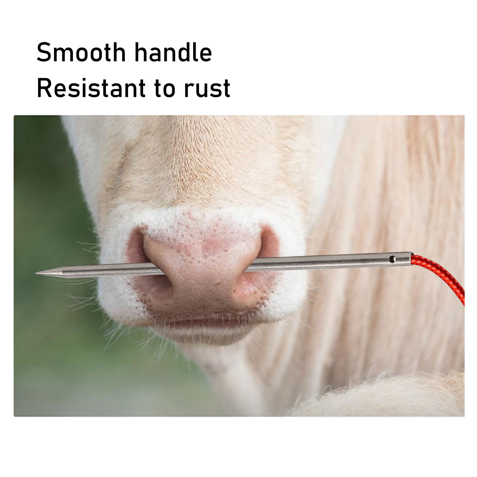 304 Нержавеющая сталь, игла для пирсинга носа коровы, игла для пирсинга носа крупного рогатого скота с отверстием для дома на ферме L