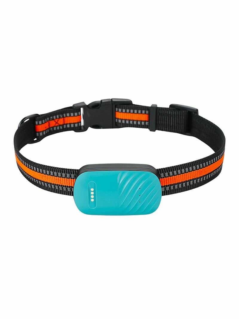 Ошейник С Gps Для Кошек