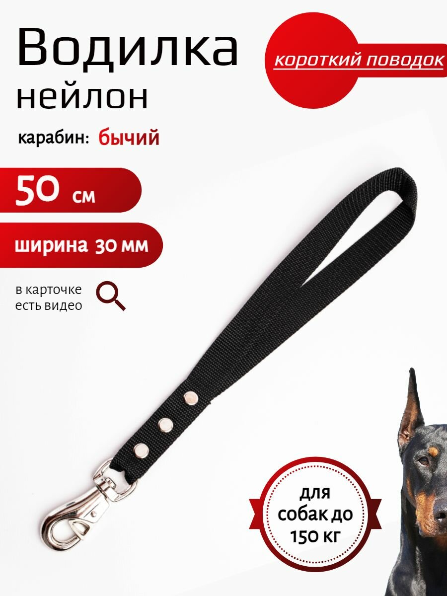 Мини-поводок Хвостатыч для собак с бычьим карабином брезент 50 см х 30 мм (черный)