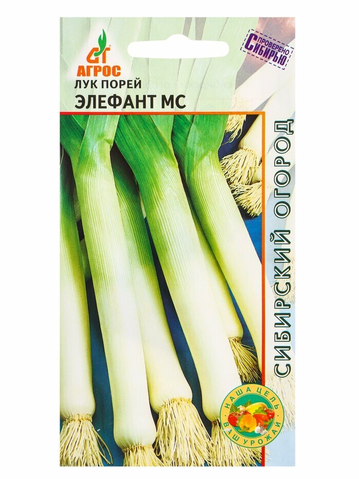 Семена Лук порей "Элефант МС" 1 г 10944138