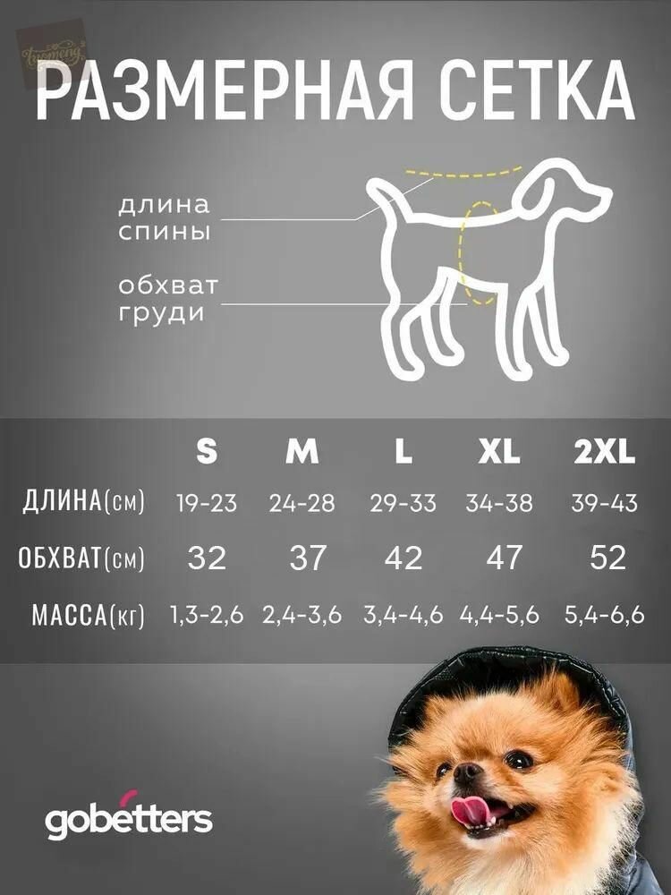 Одежда для животных — фото 1