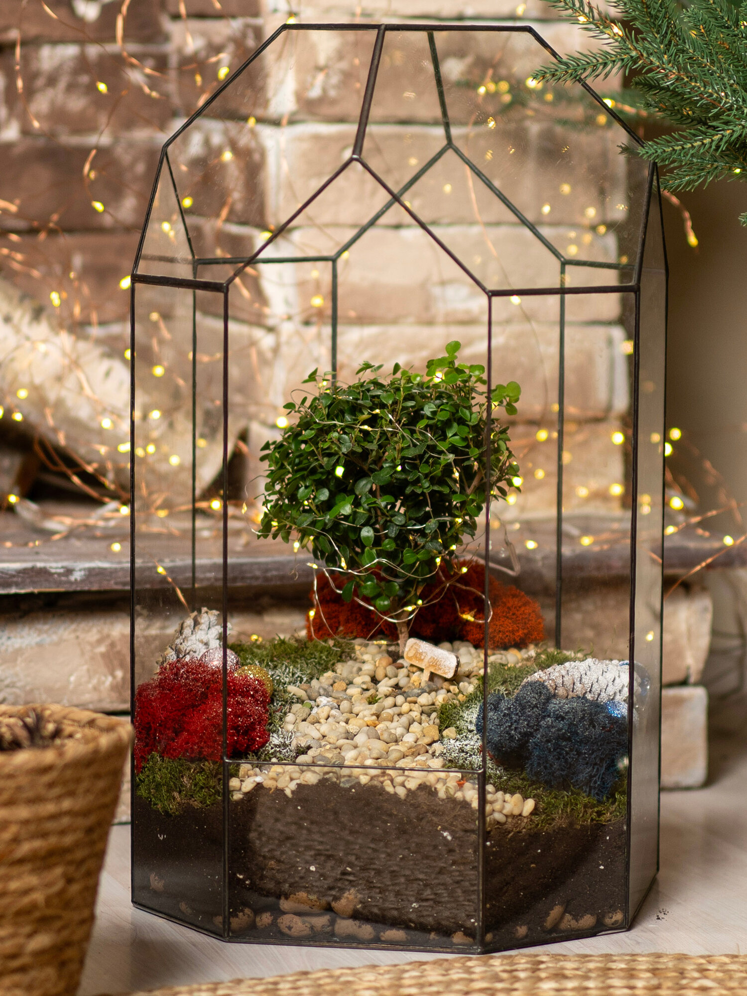 Geo Glass: Мирт , подарок на новый год , флорариум стекло , мирсина африканская 50 см