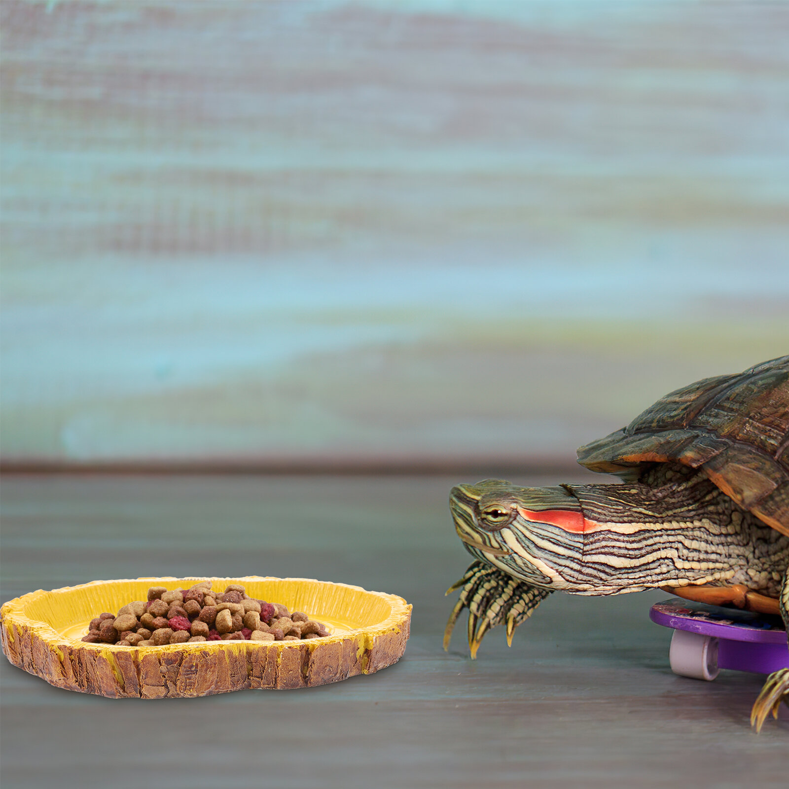 1 Штука Кормушка для Черепахи, Из Резины, Подходит для Кормления