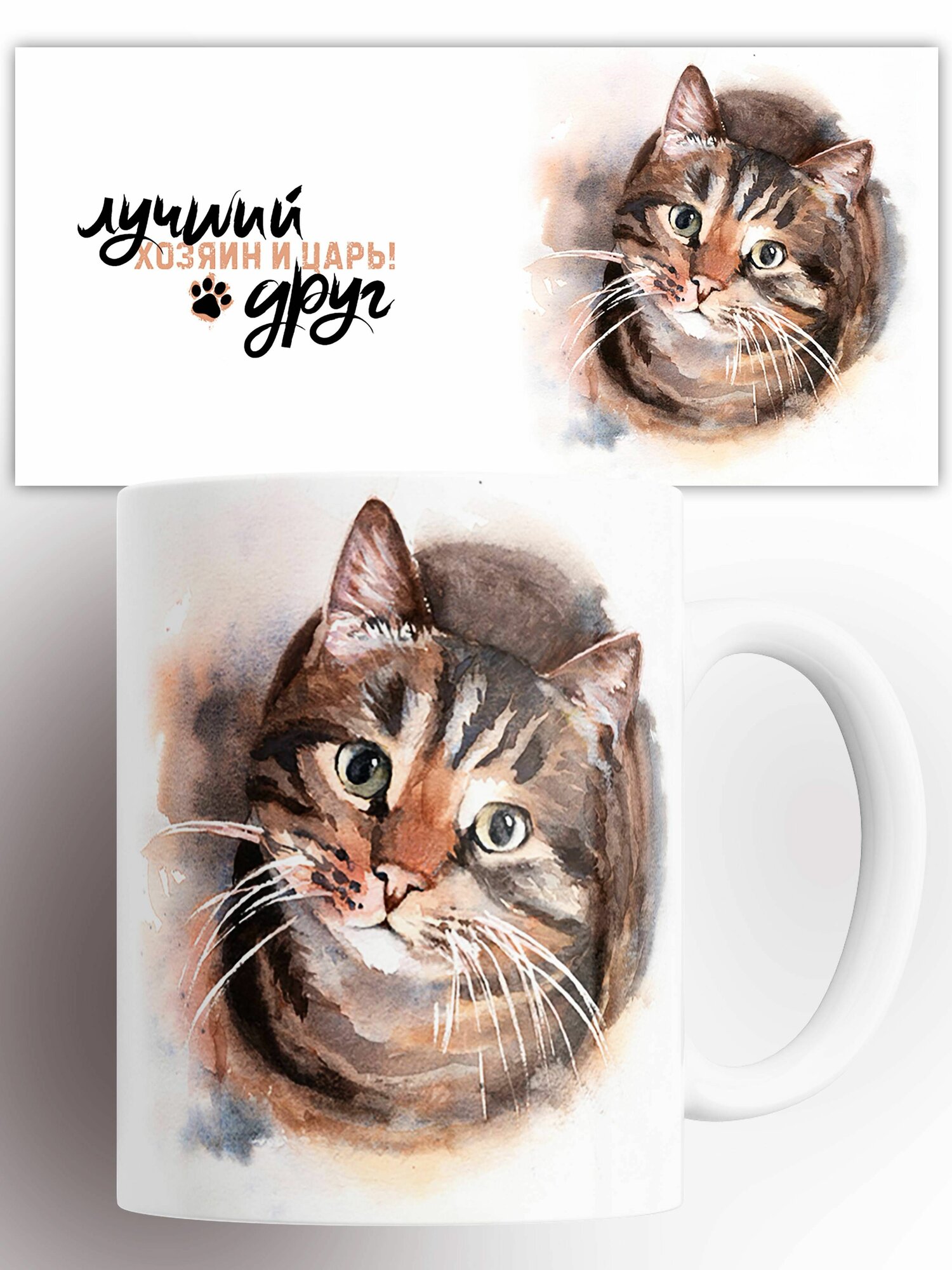 Кружка Серый, полосатый кот cat друг человека хозяин и царь кошкалюб с принтом 330 мл