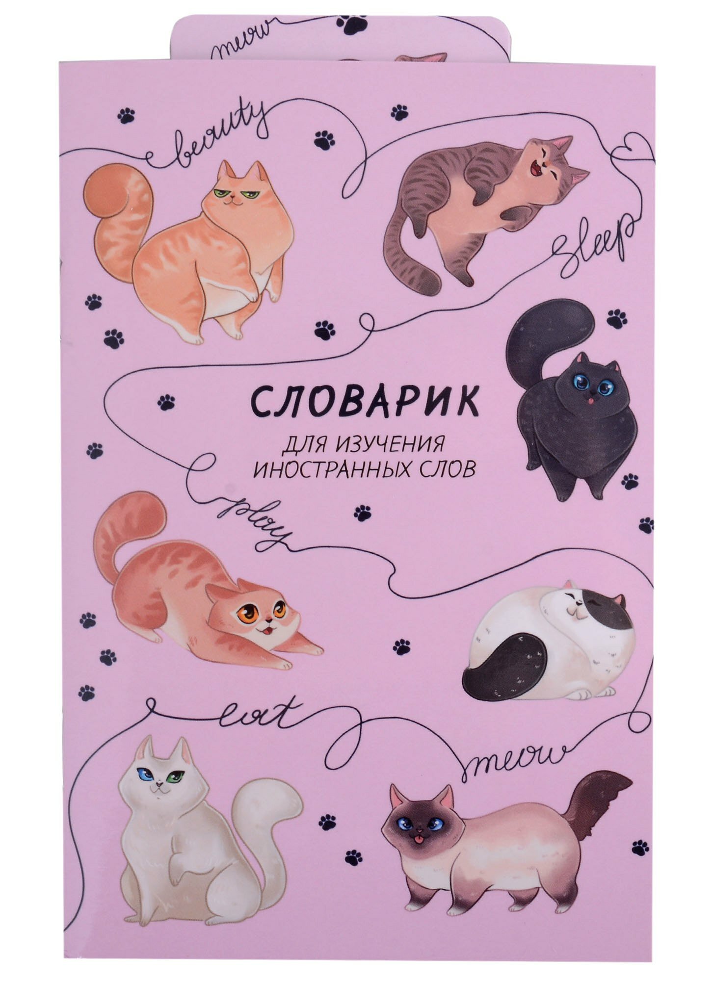 Тетрадь для записи иностранных слов «игривые коты», 32 листа в линейку, А6 - Феникс+