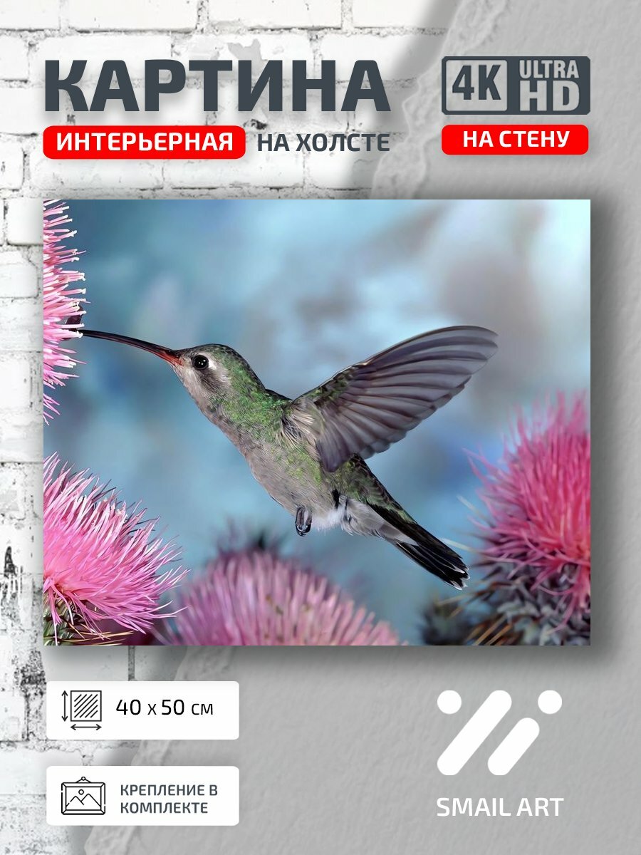 Картина на холсте интерьерная 40 на 50 на стену Птичка Food для офиса кулинария интерьер