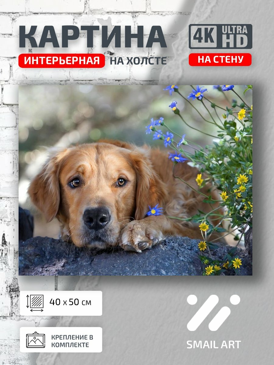 Картина на холсте интерьерная 40 на 50 на стену Собака dog для офиса пейзаж интерьер декор