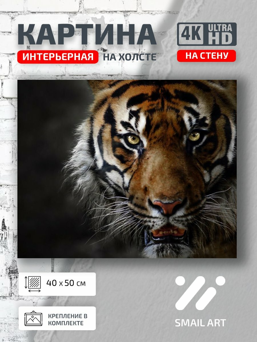 Картина на холсте интерьерная 40 на 50 на стену Взгляд Animal для гостиной animal style