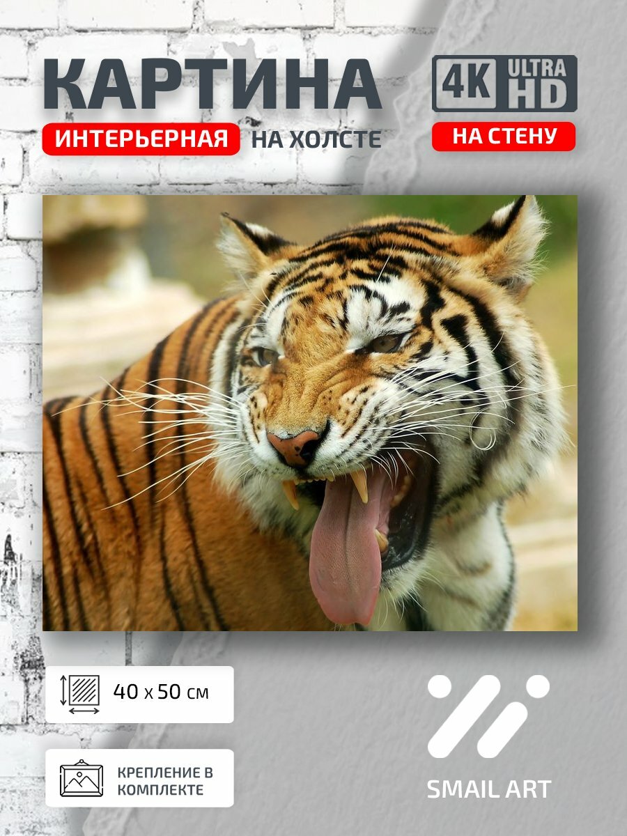 Картина на холсте интерьерная 40 на 50 на стену Морда Animal для кабинета animal style