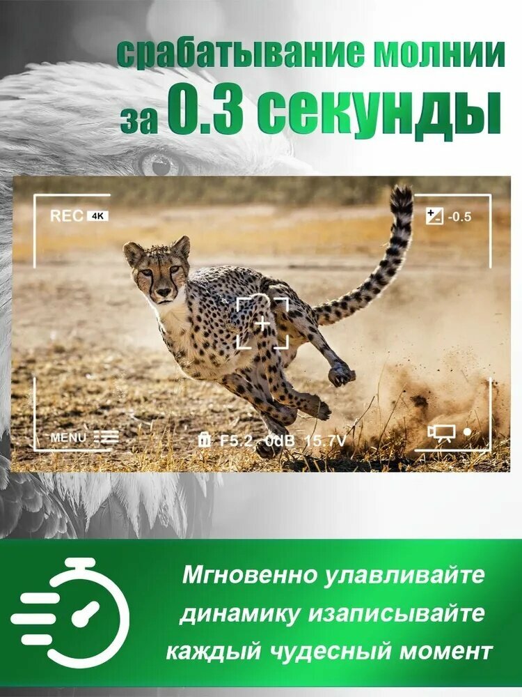 Фотоловушка — фото 1