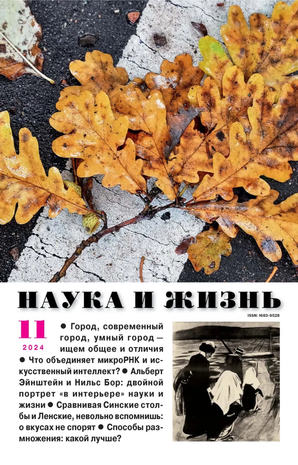 Наука и жизнь №11/2024 [Цифровая книга]