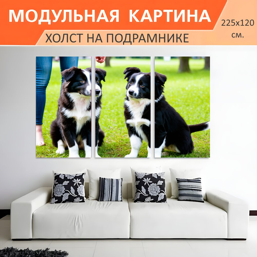 Модульная картина на холсте "Щенки бордер-колли, обучающиеся трюкам со своим хозяином в парке" триптих на подрамнике 225х120 см. для интерьера