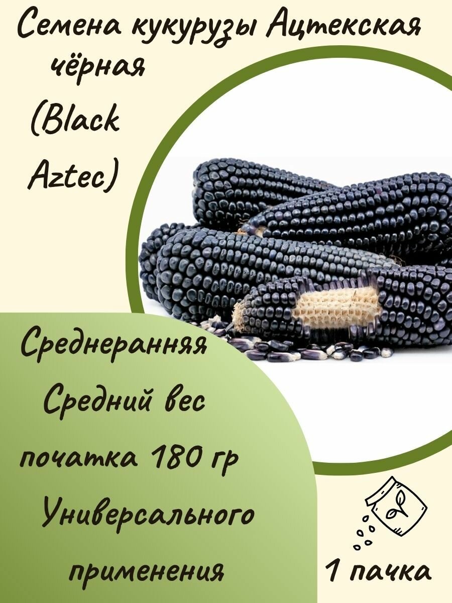 Семена кукурузы Ацтекская чёрная (Black Aztec), 10 шт. семян