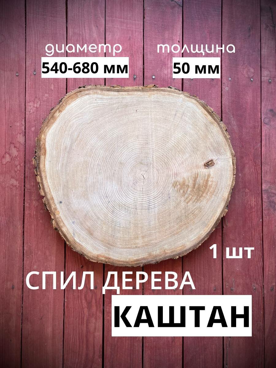 Спил дерева Каштан, диаметр 54-68 см, толщина 5 см, 1шт