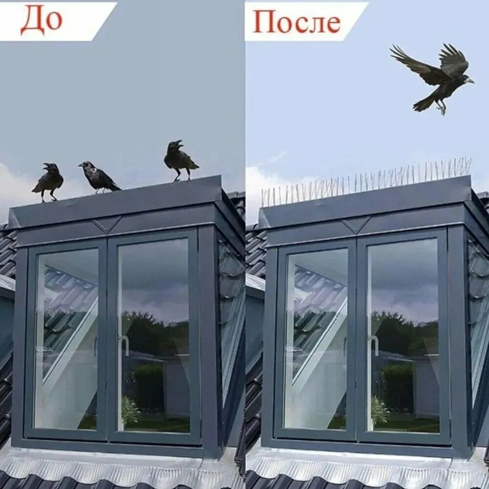 Колючая проволока — фото 1