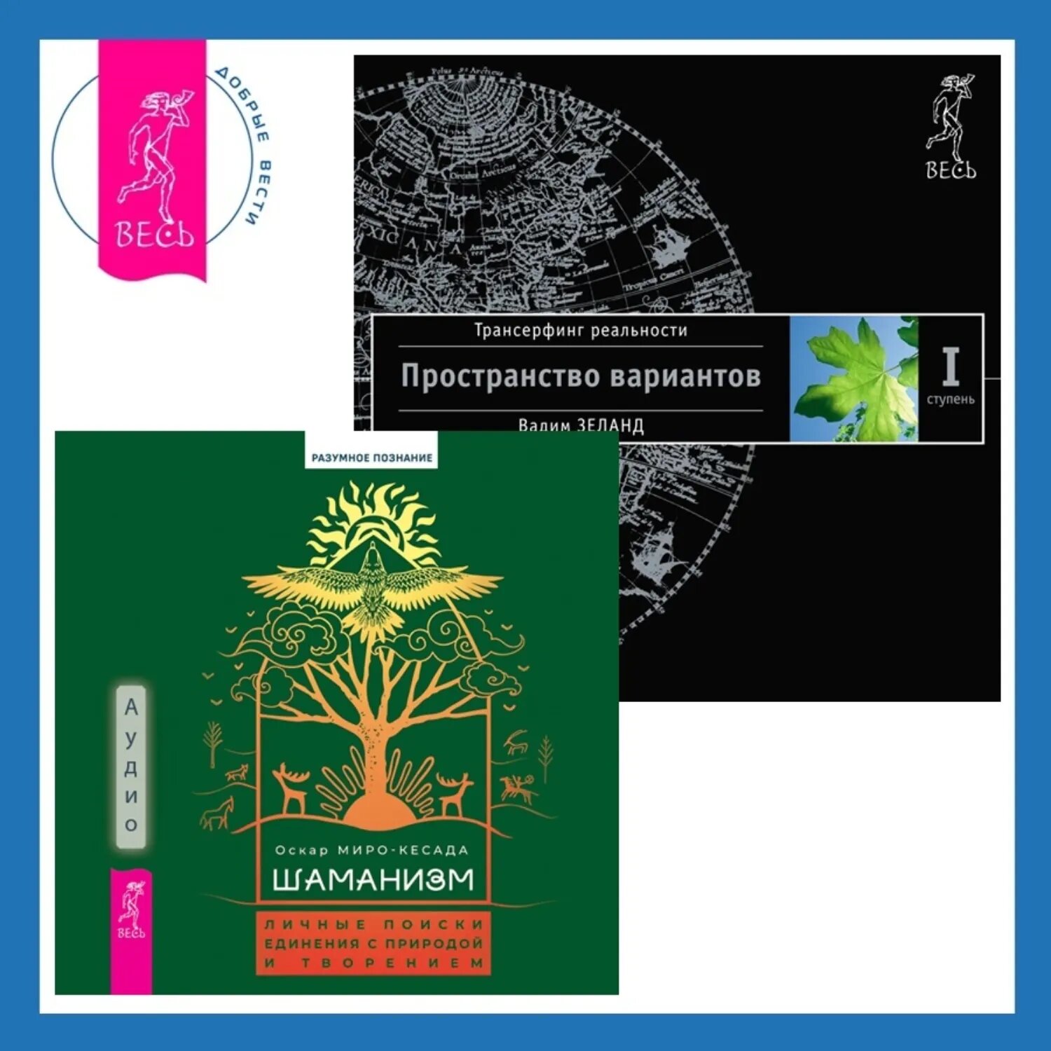 Шаманизм: Личные поиски единения с природой и творением. Трансерфинг реальности. Ступень I: Пространство вариантов [Аудиокнига]
