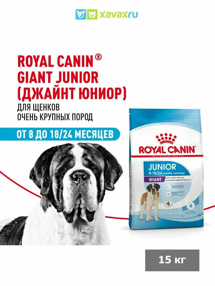 Сухой корм Royal Canin Giant Junior для щенков очень крупных пород в возрасте от 8 до 18/24 месяцев, 15 кг