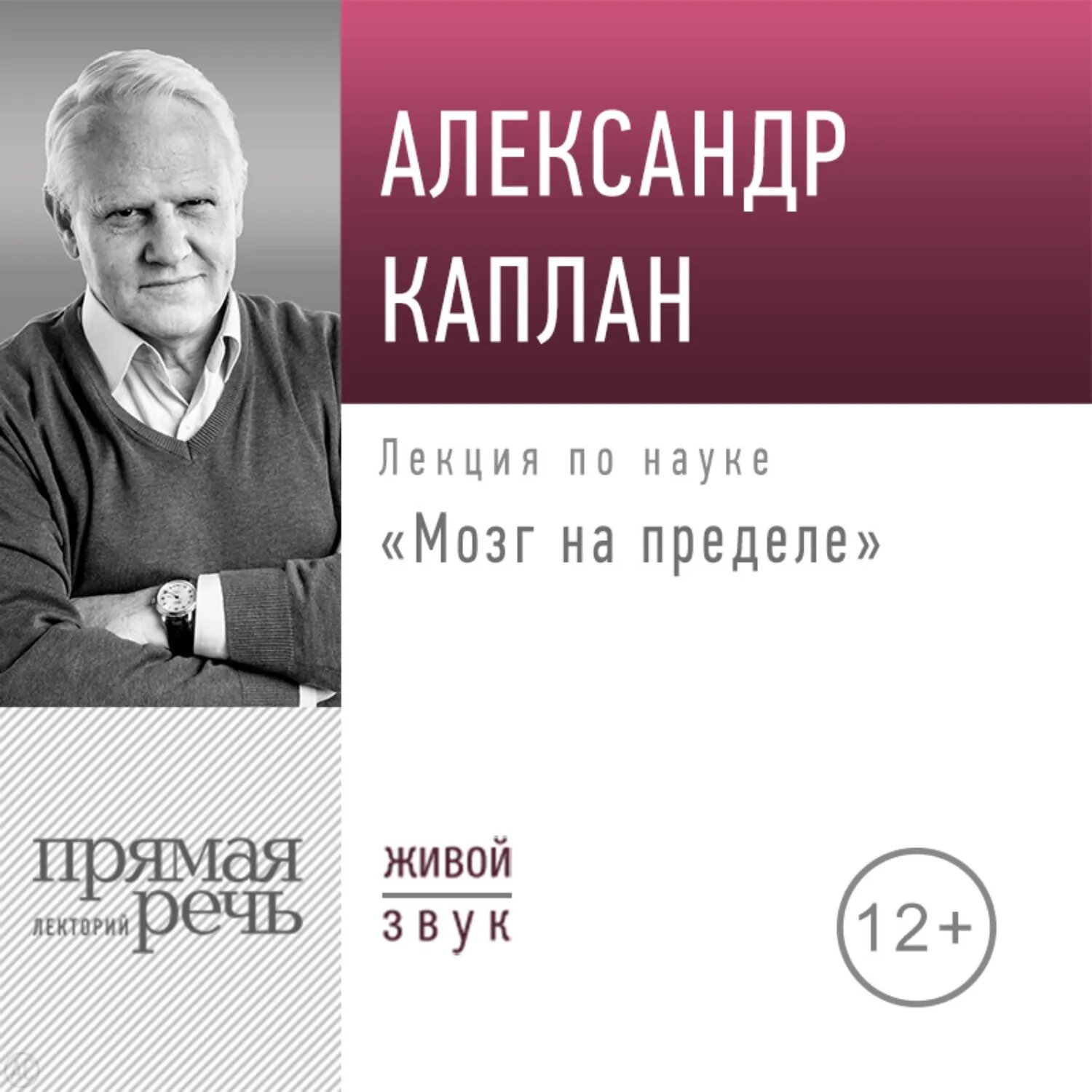 Лекция «Мозг на пределе» [Аудиокнига]