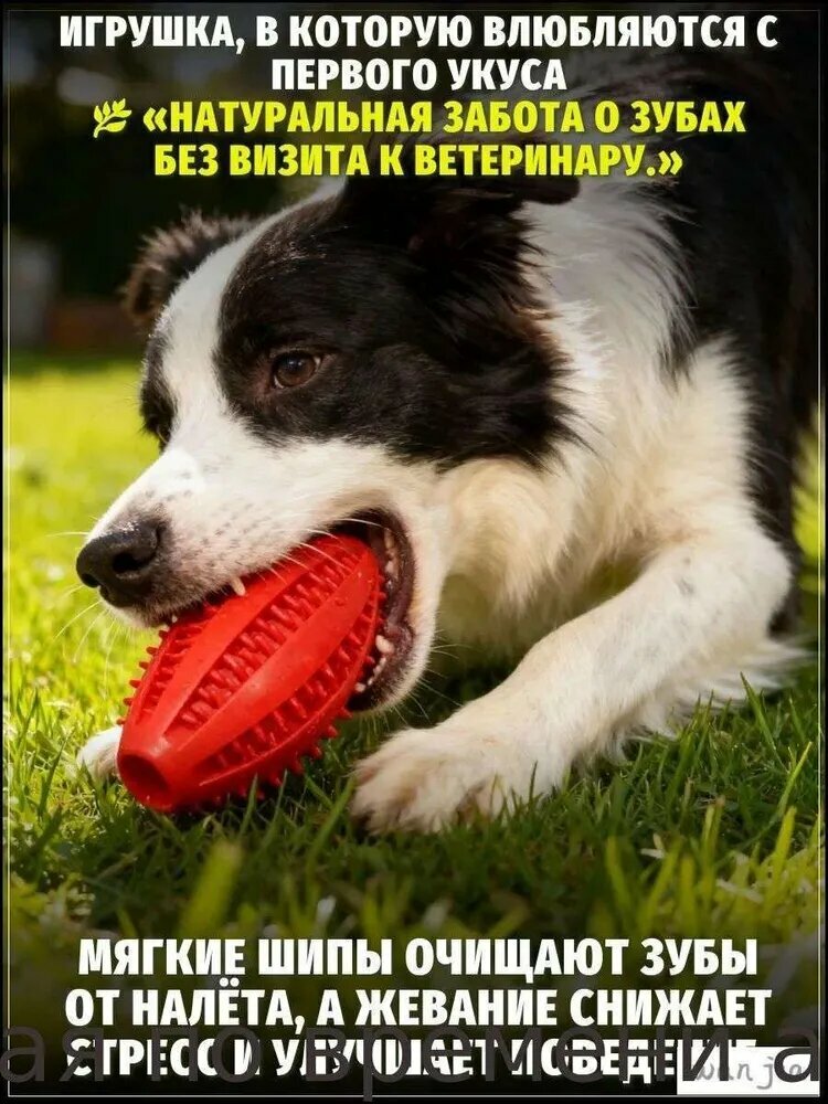 Игрушка для животных — фото 1