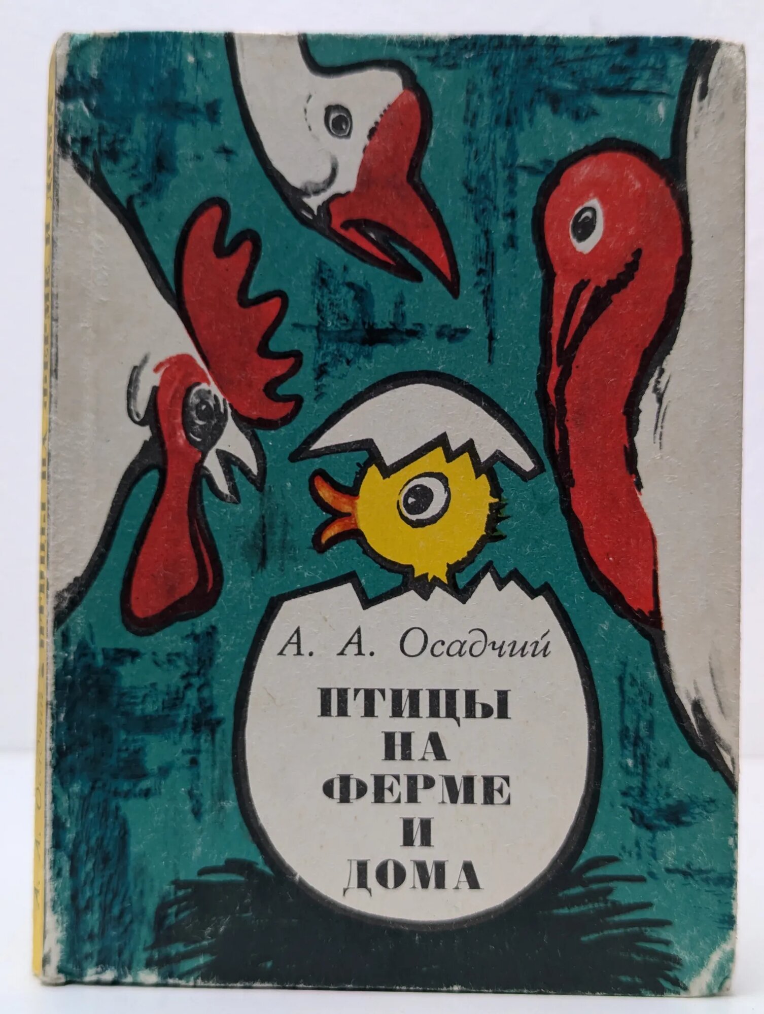 Птицы на ферме и дома Осадчий Анатолий Андреевич 1977