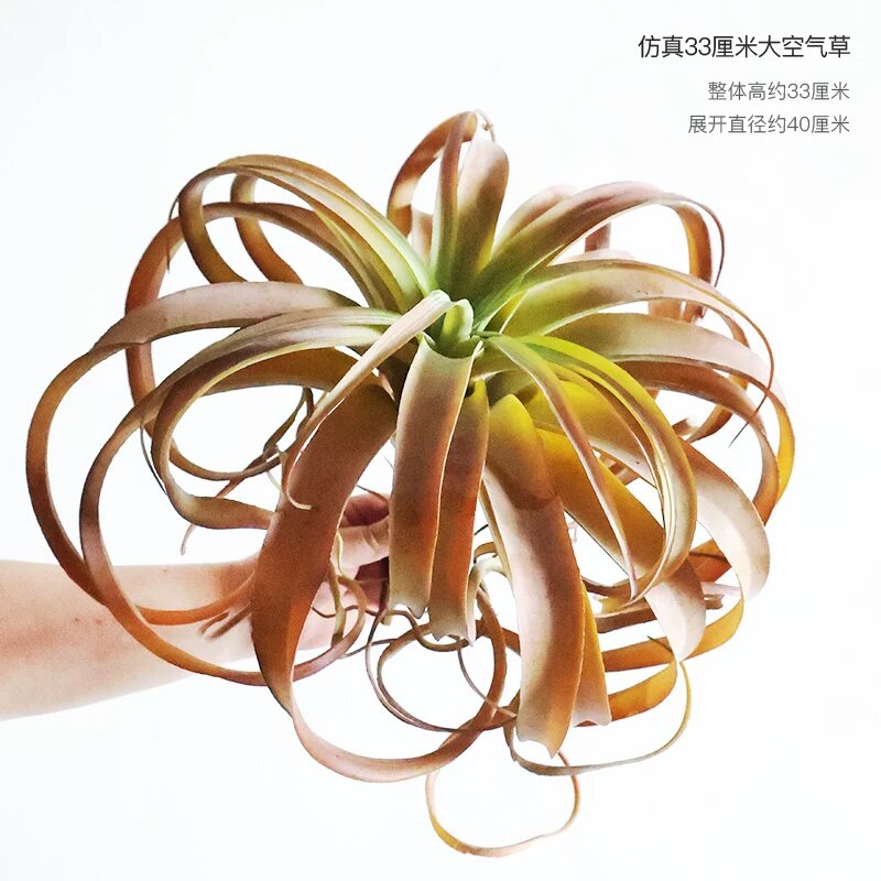 Имитация флокированного воздуха, ананаса, фигурных листьев, травы, большие суккуленты в пустыне, скандинавская