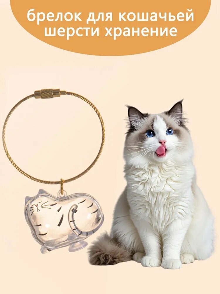 Прозрачная капсула для хранения кошачьей шерсти, пластиковый контейнер-брелок, коллекционный аксессуар для любителей кошек