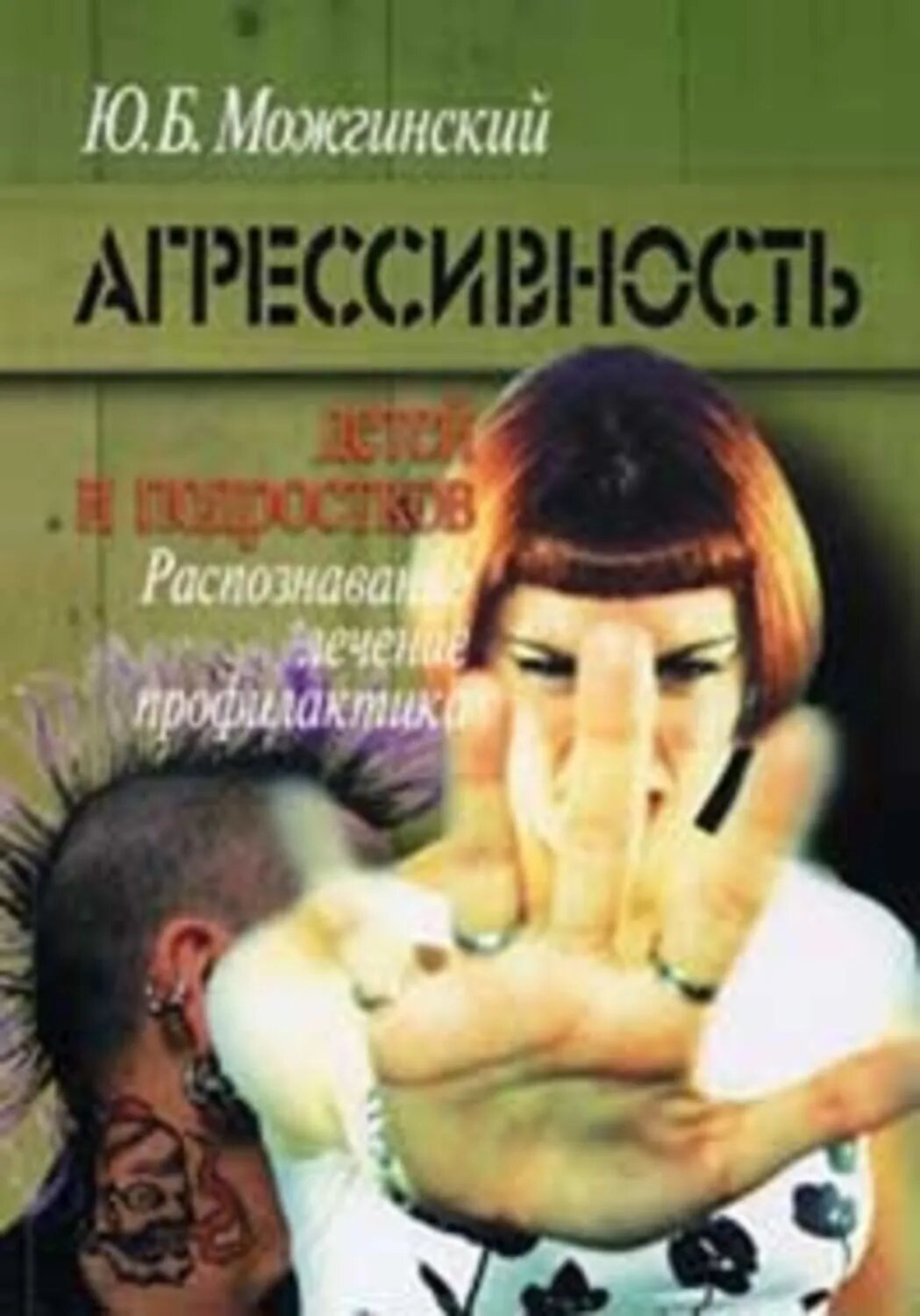 Агрессивность детей и подростков [Цифровая книга]