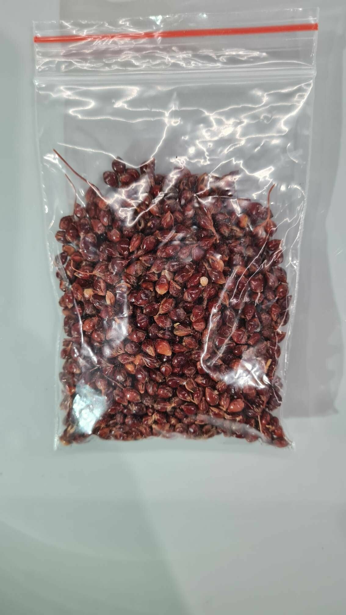 Семена "Сорго веничное" для веников , 25 гр.