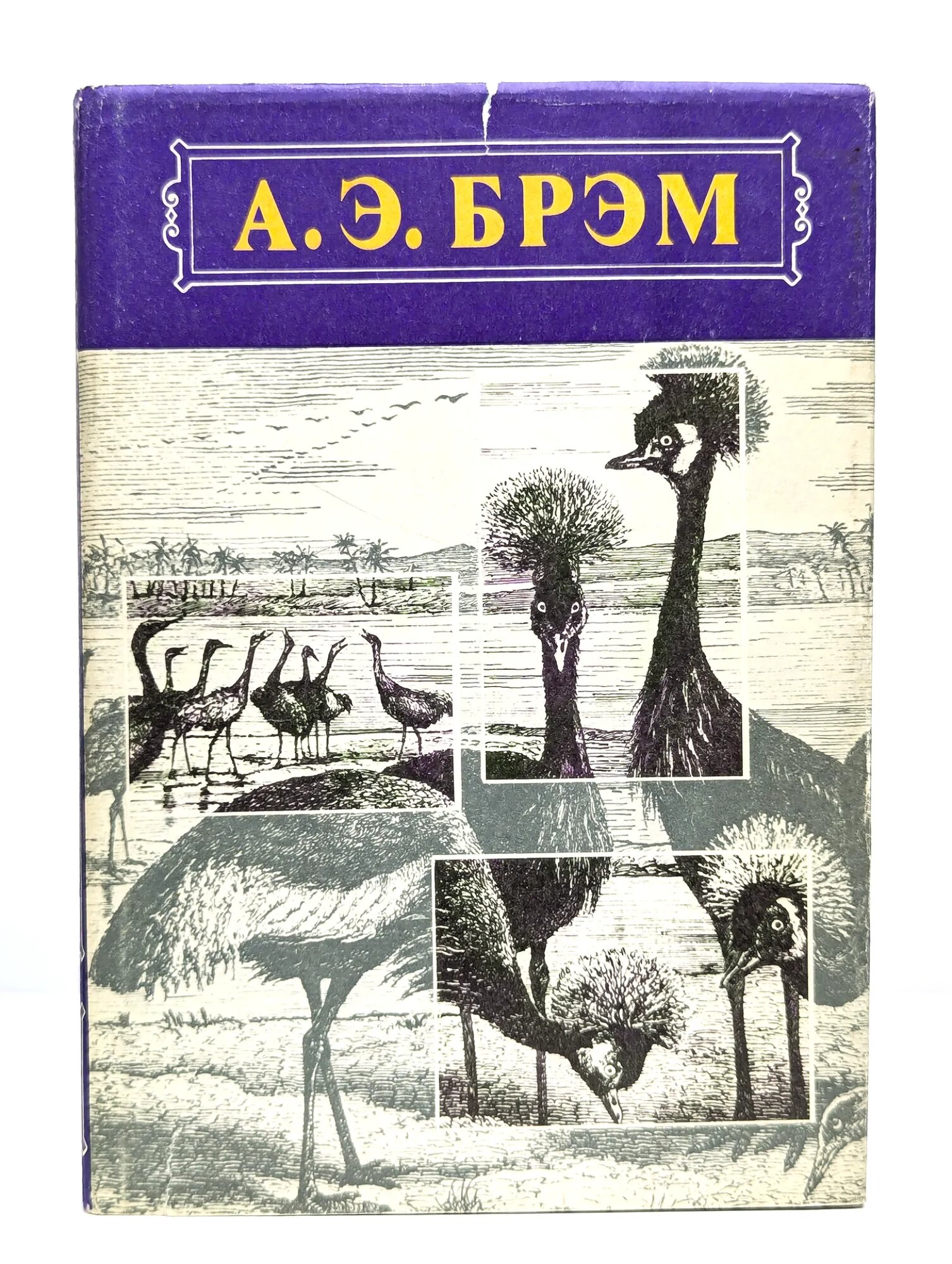 Жизнь животных. Том 2. Птицы Брем Альфред Эдмунд 1992