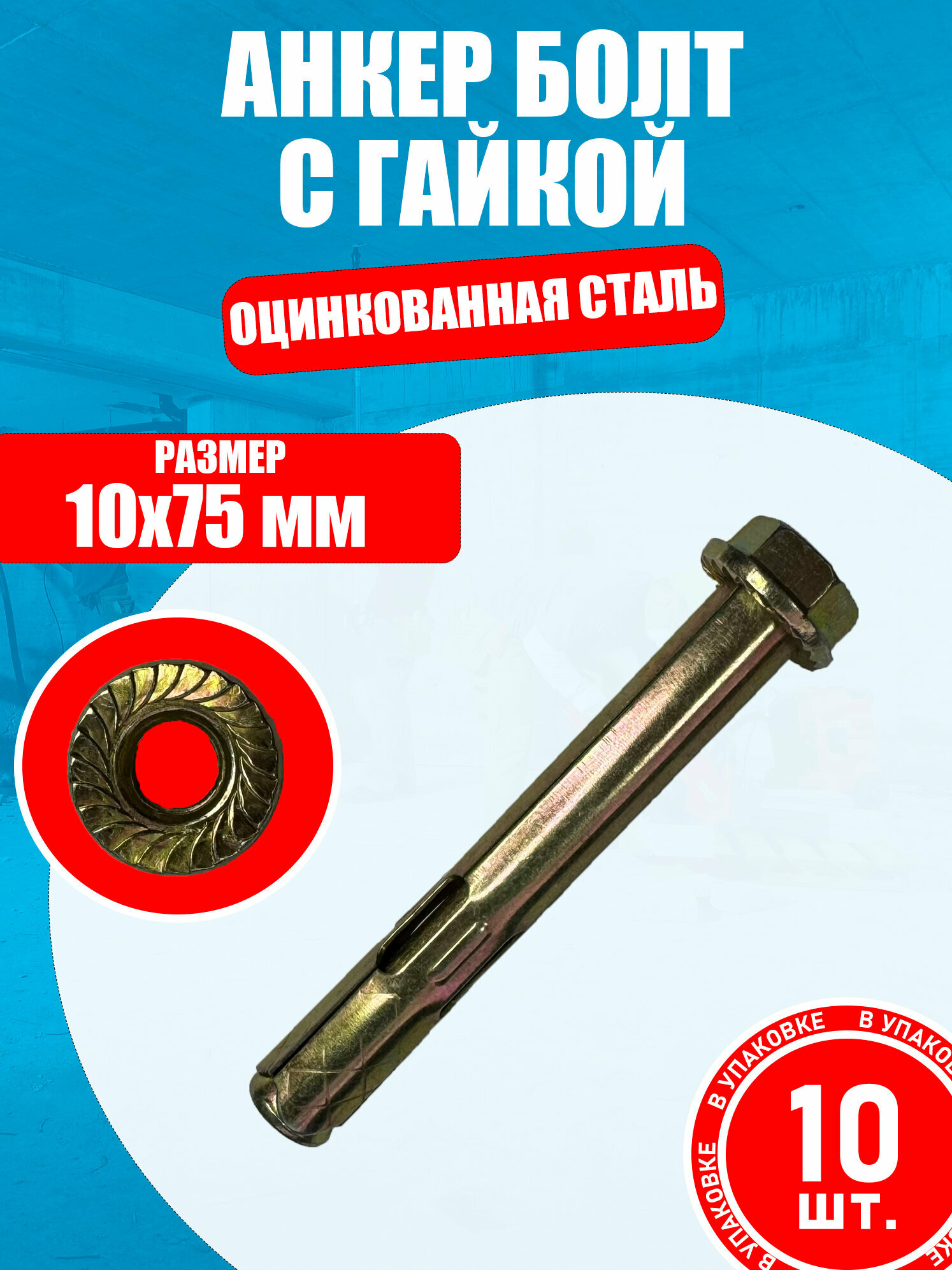 Анкерный болт 10х75 (77) мм с гайкой 10 шт