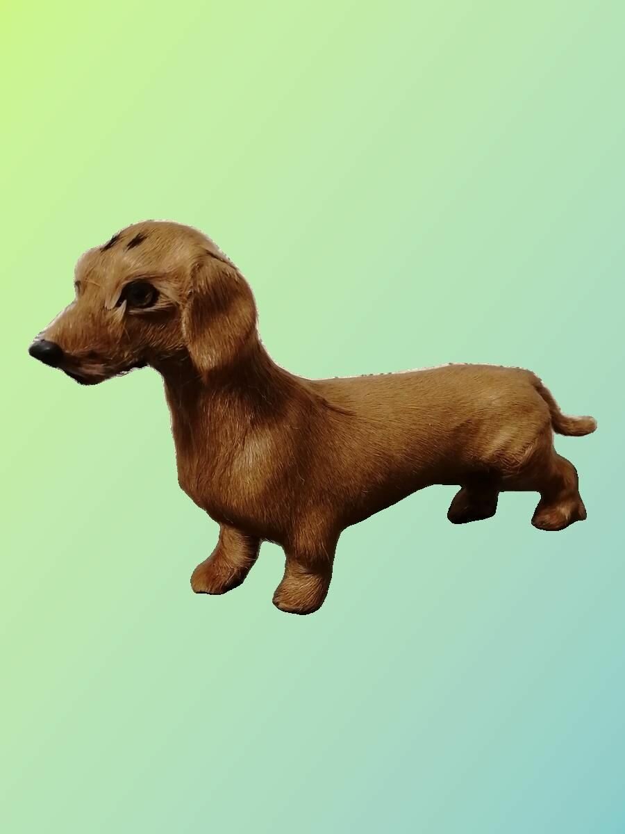 Такса из натурального меха! Как живая!