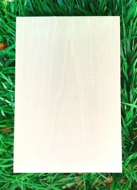 Доска для резьбы липа 170*250*15мм