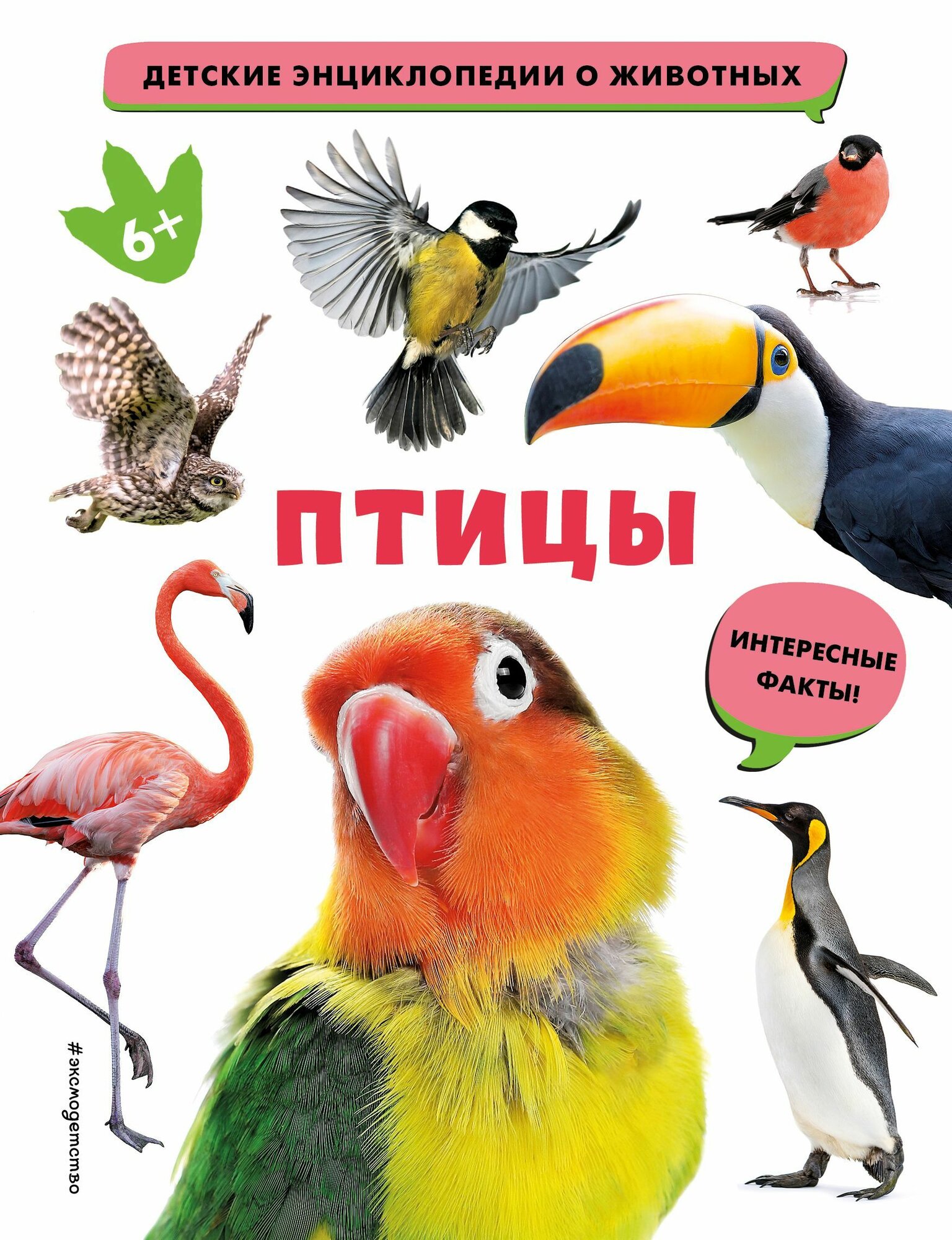 Книга "Птицы, серия «Детские энциклопедии о животных"