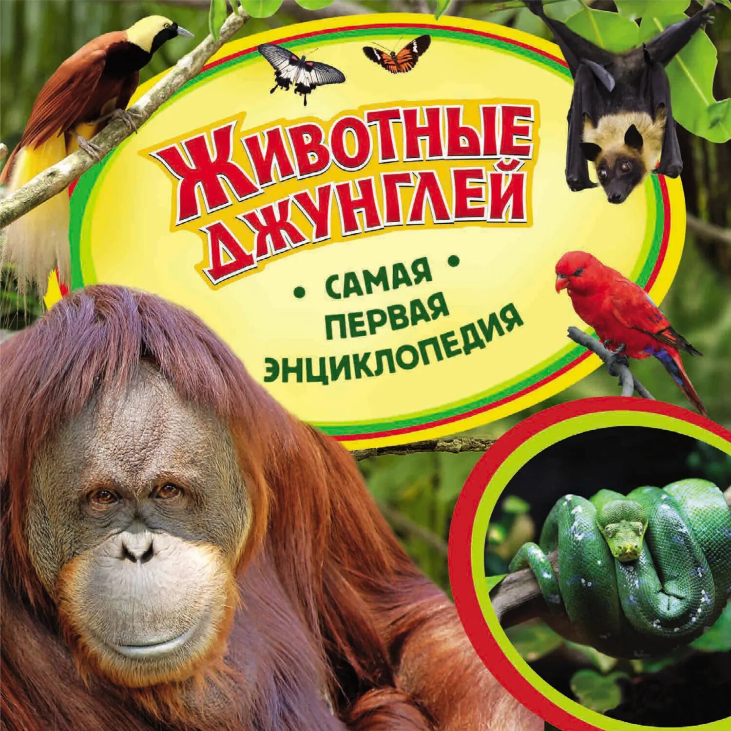 Животные джунглей [Цифровая книга]