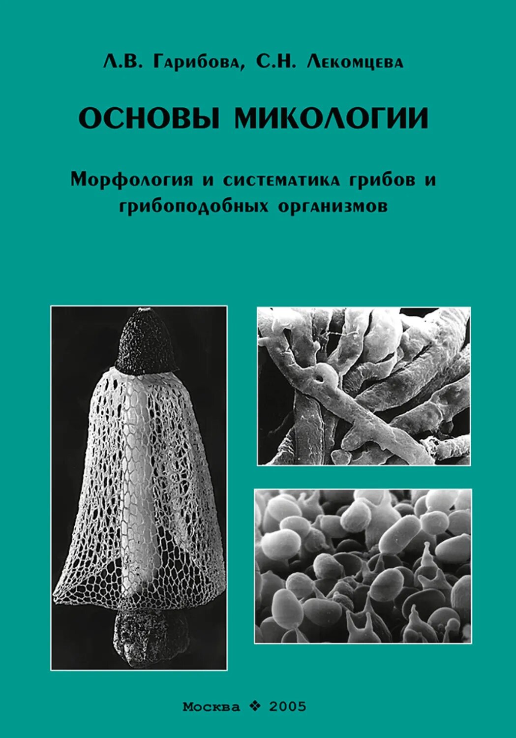 Основы микологии. Морфология и систематика грибов и грибоподобных организмов [Цифровая книга]